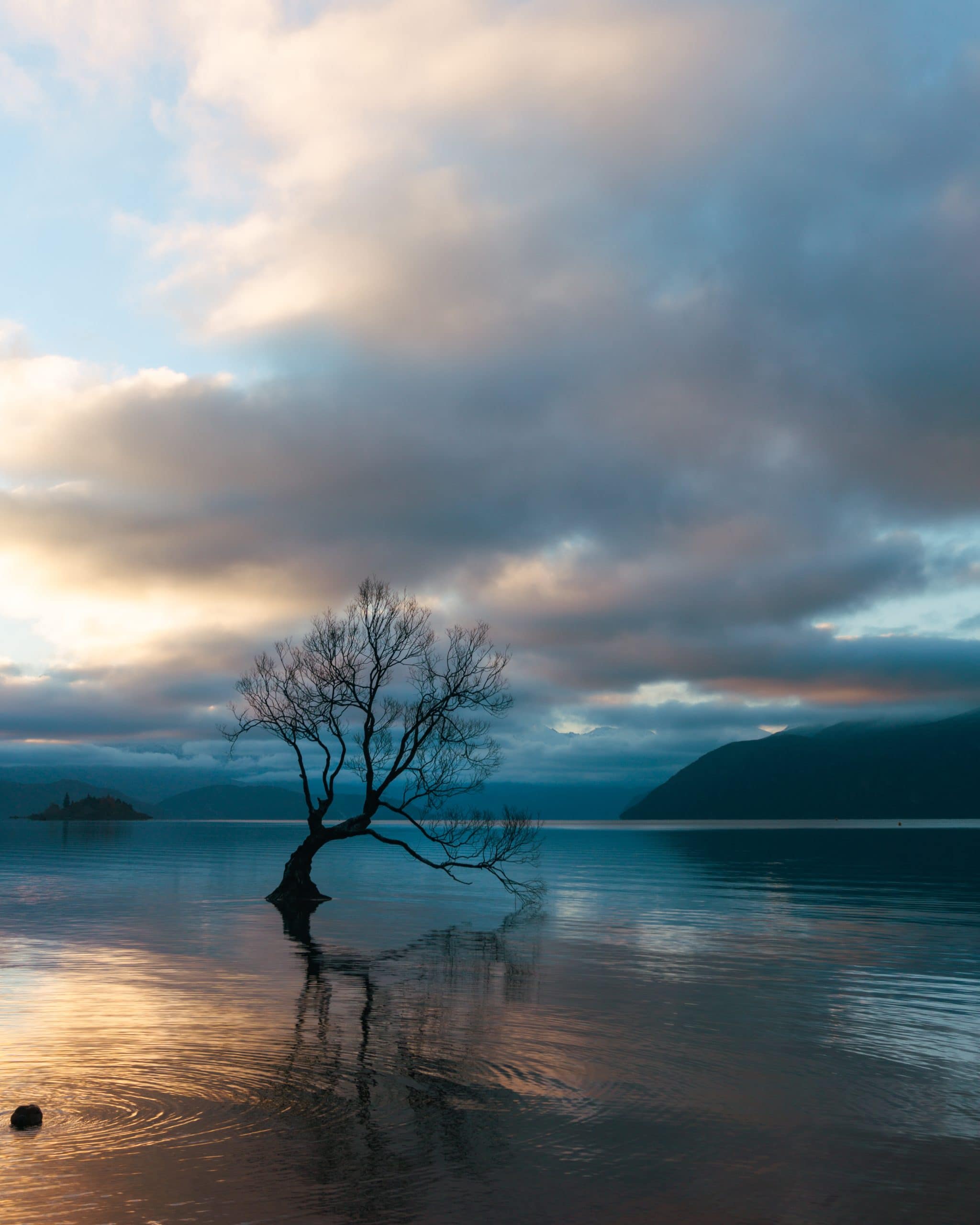 The Wanaka Tree & Lake Wanaka in New Zealand - Destary